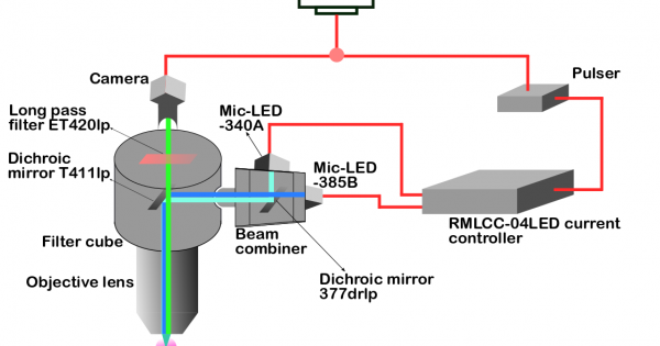 Dynamic ratiometric imaging enabled using Prizmatix LEDs