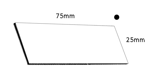 ESL 4901-PSS-100 Raman Microscope slide stainless steel